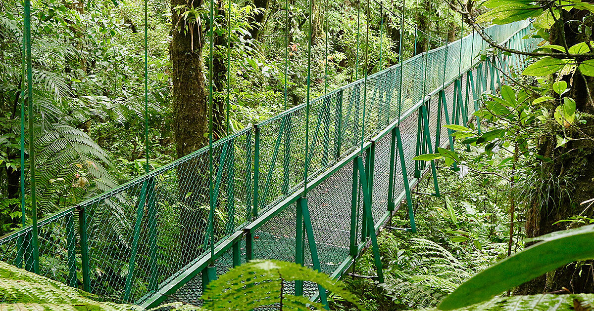 How Costa Rica Is Fighting to Save the Environment | ATCR